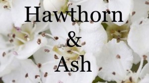 Hawthorn & Ash #158 – Iron Faerie Publishing